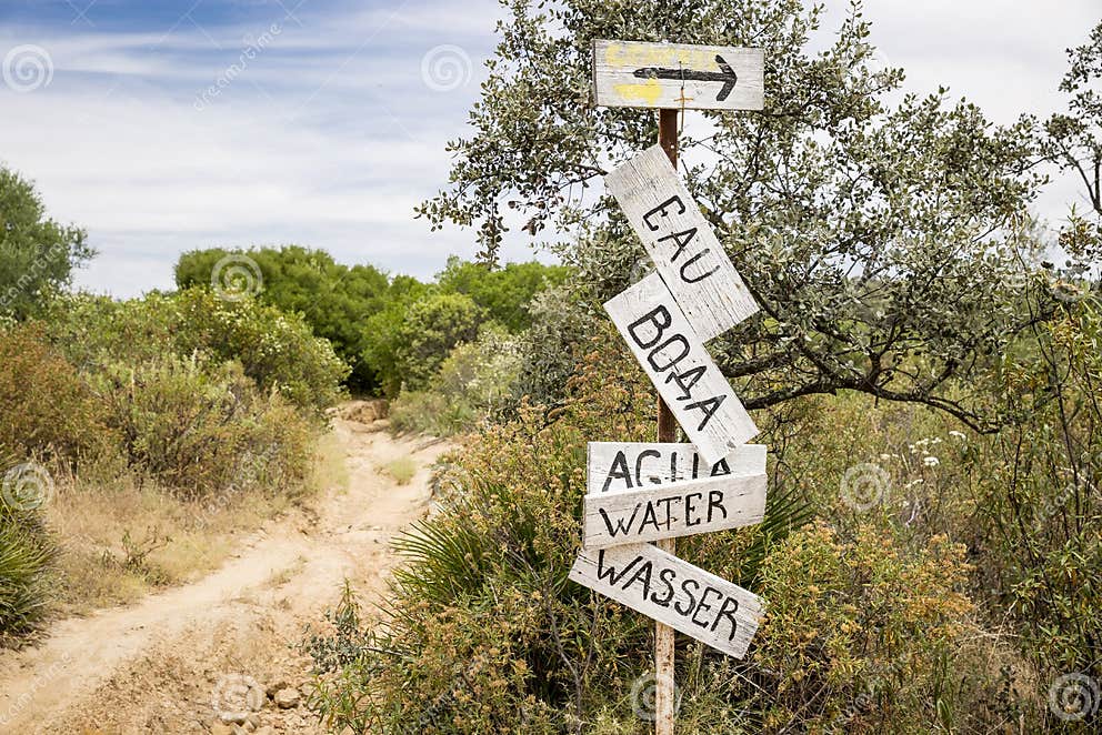 Signpost in the Forest Indicating a Water Source Stock Image - Image of ...