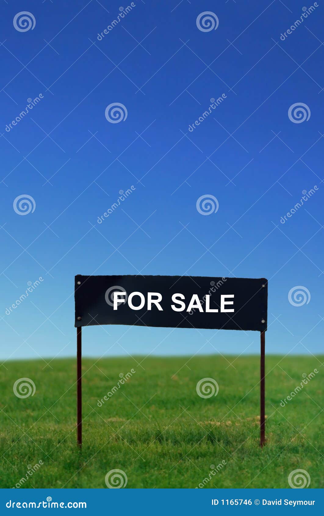 Signpost - for SALE stock photo. Image of green, house - 1165746