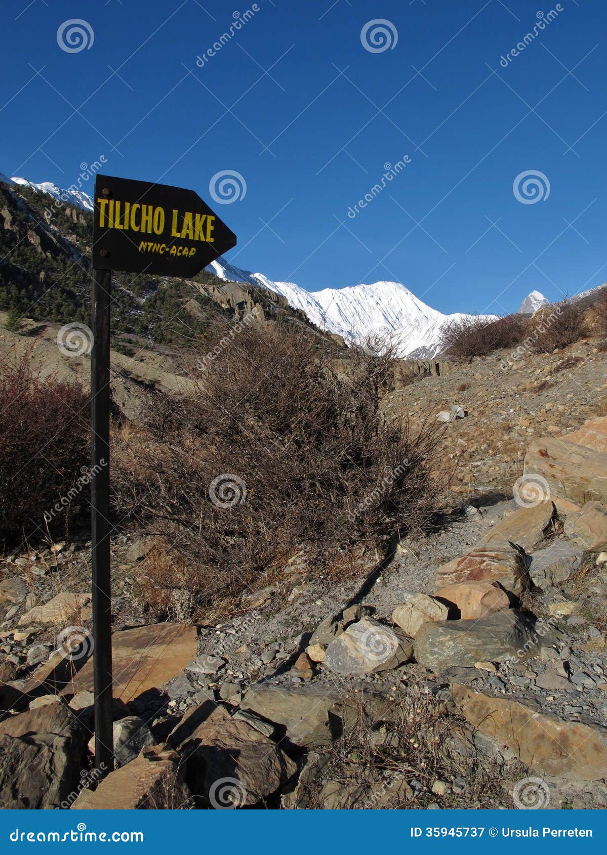 Signpost on the Way To Tilicho Lake Stock Image - Image of range ...