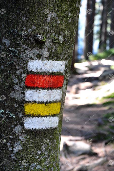 Signposting stock photo. Image of hiking, landscape, fall - 21431478