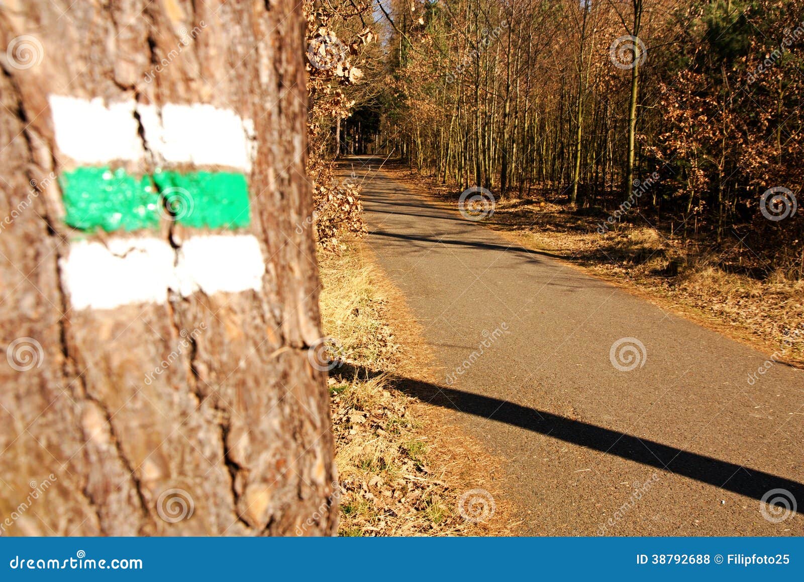 Signposting stock photo. Image of information, success - 38792688