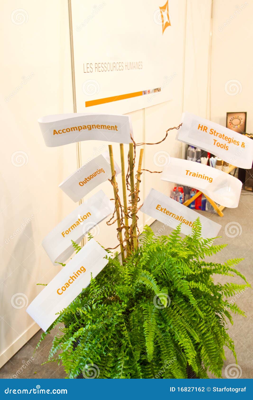 Signposting on tree stock photo. Image of externalisation - 16827162