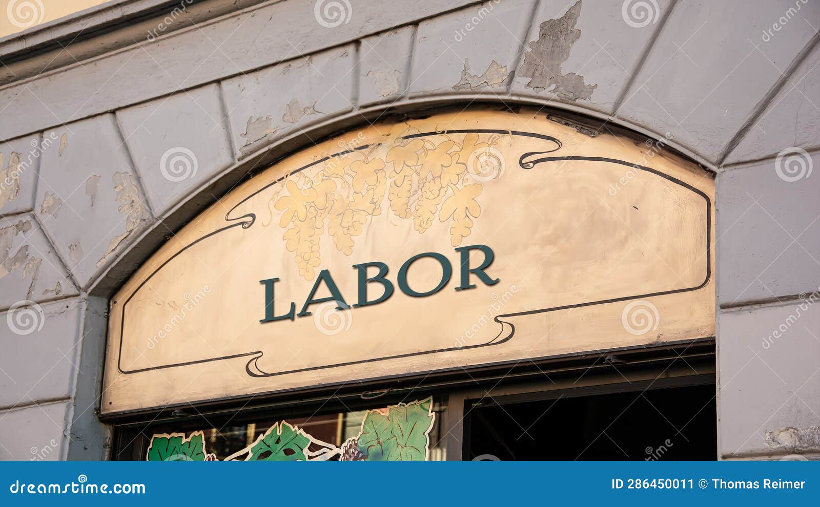 Signposts the Direct Way To Laboratory Stock Image - Image of ...