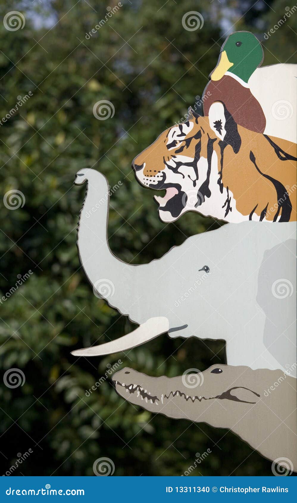 Signs of Animals stock photo. Image of elephant, wildlife - 13311340