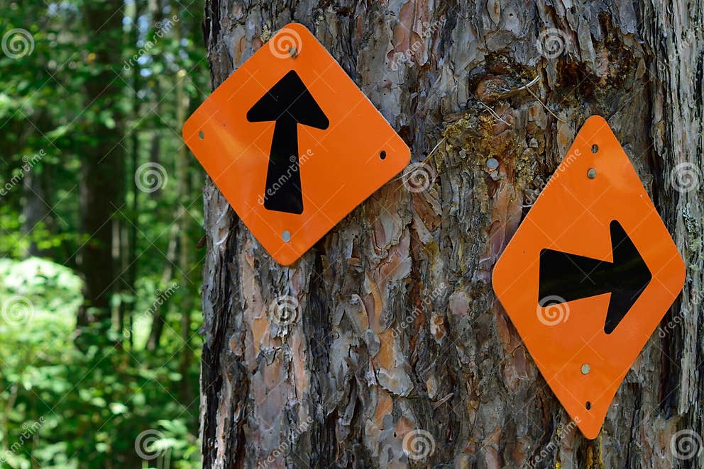 Signs on ATV and Snowmobile Trail Stock Image - Image of trail, curve ...