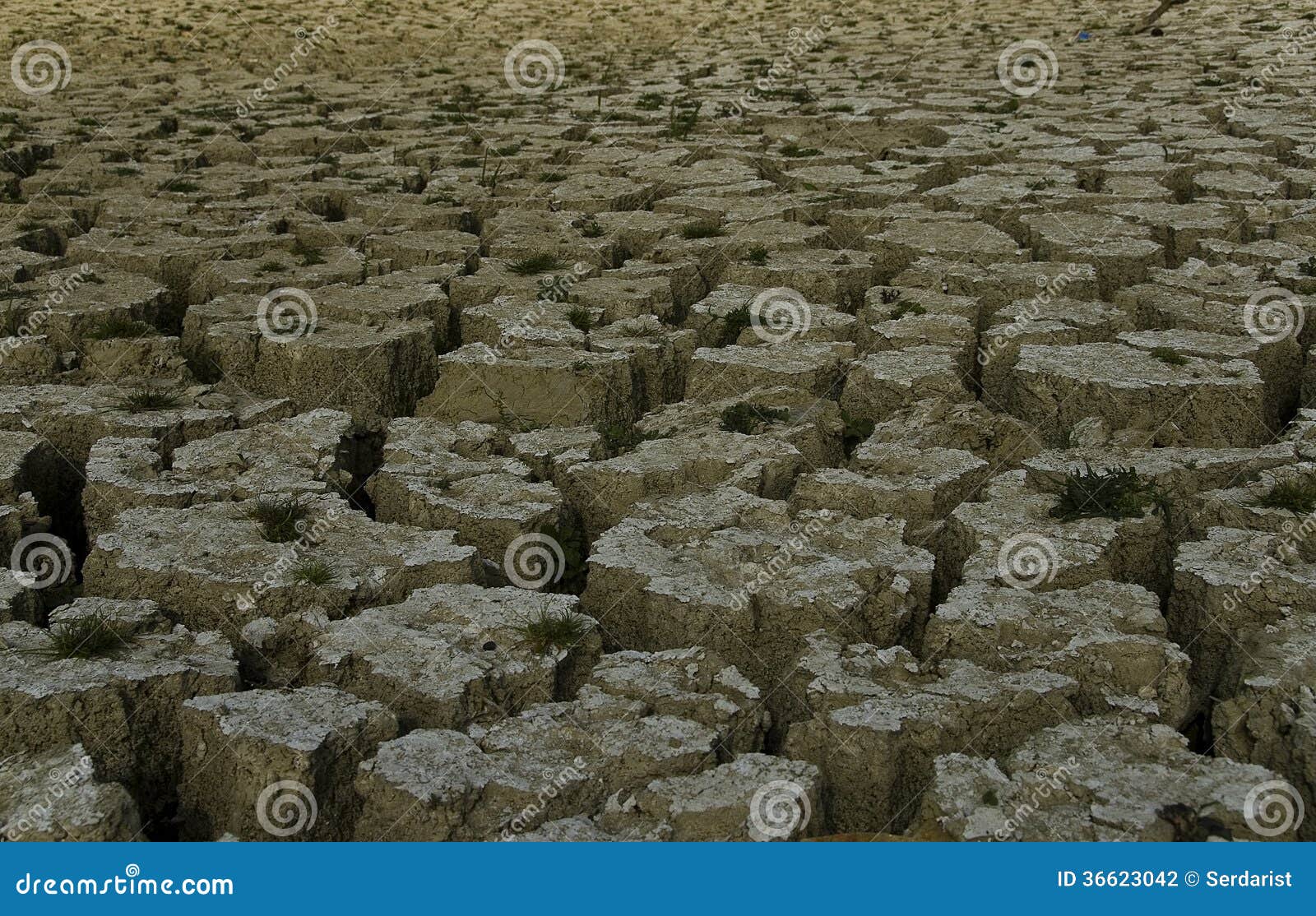 Signs of drought stock photo. Image of earth, semiarid - 36623042