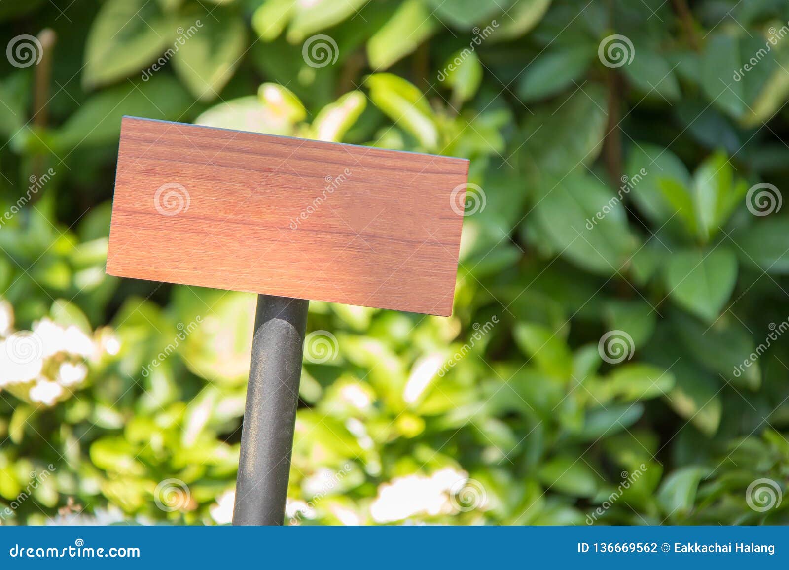 Signs wood empty. stock photo. Image of west, lawn, summer - 136669562