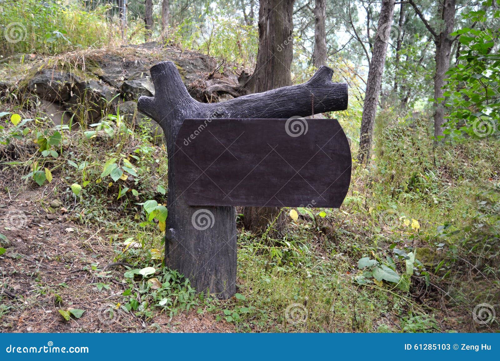 Signs in the forest stock image. Image of warn, signage - 61285103