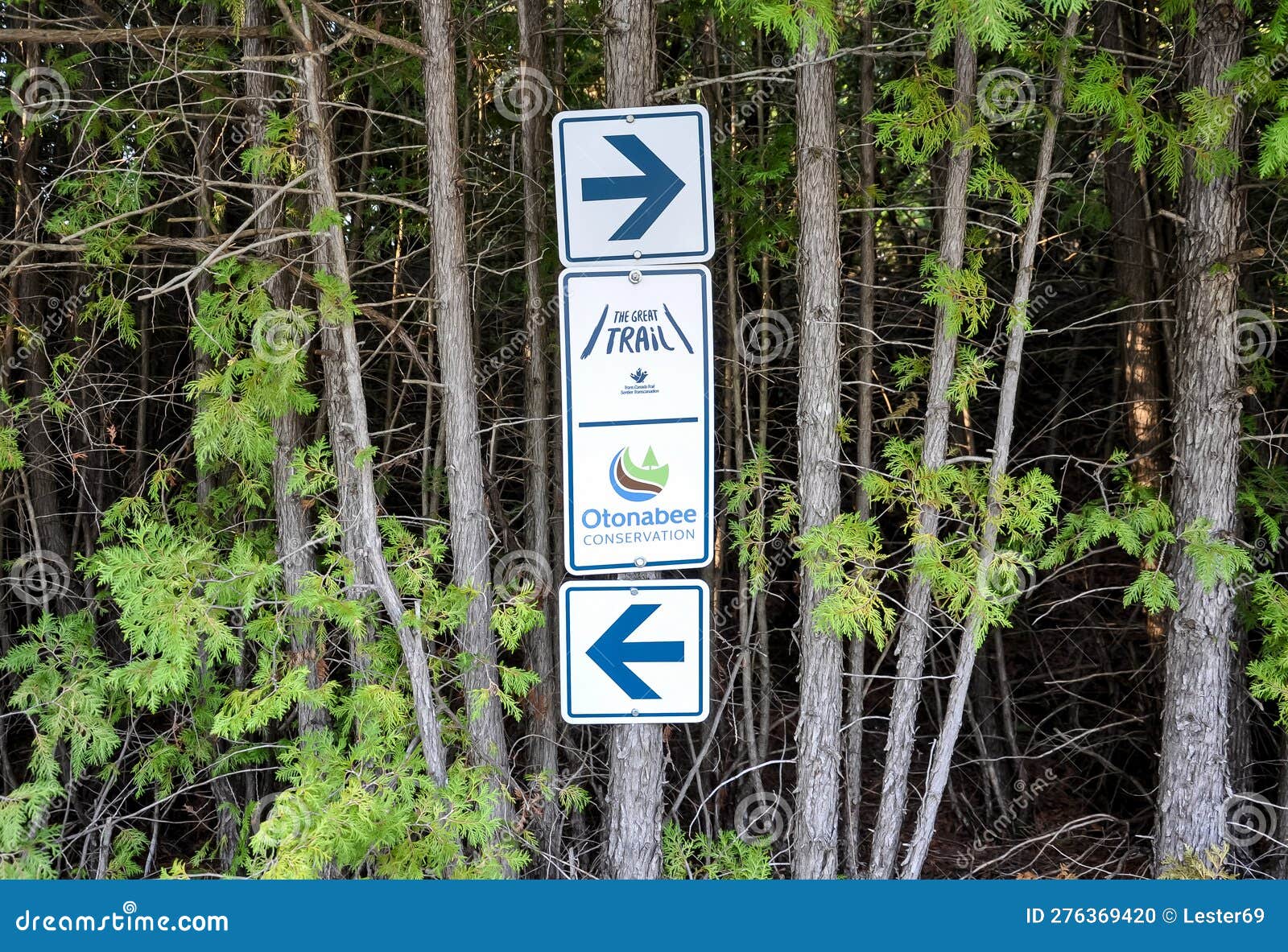 Signs at the Great Trail in Peterborough, Ontario, Canada Editorial ...