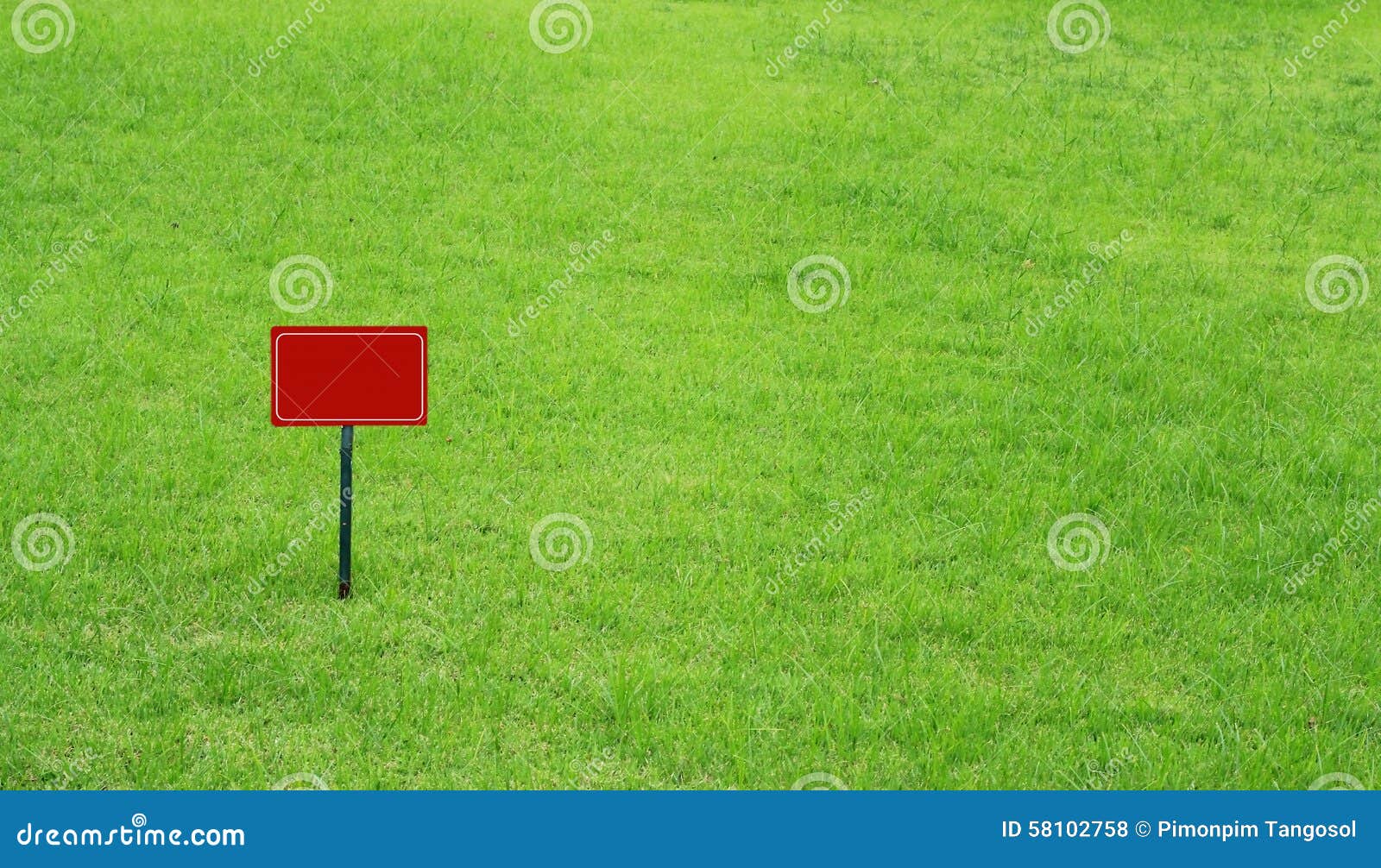 Signs on the lawn stock photo. Image of background, environment - 58102758