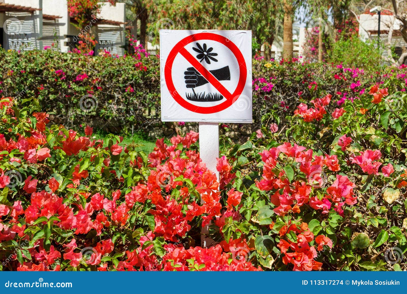 Signs in the Park. Does Not Pick Flowers Stock Photo - Image of ... Signs in the Park. Does Not Pick Flowers Stock Photo - Image of ...