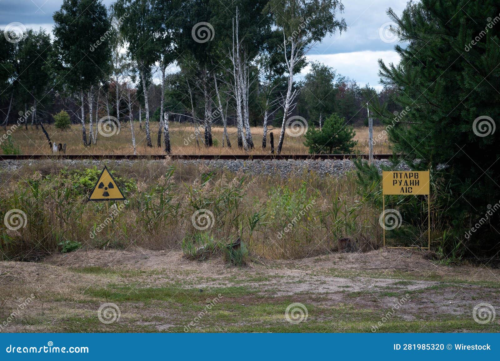 Signs of Red Forest in the Exclusion Zone in Chernobyl, Ukraine. Stock ...