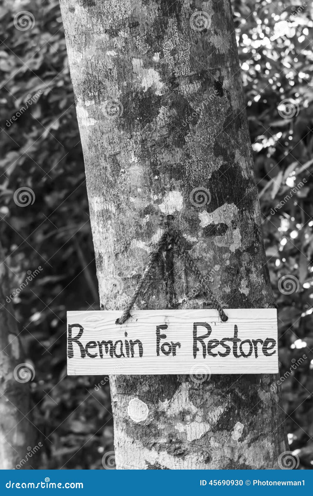 Signs remain for restore stock photo. Image of white - 45690930