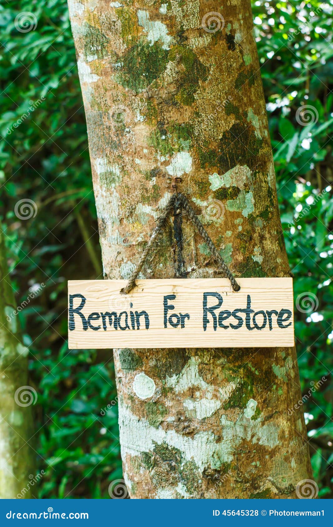 Signs Remain for Restore on Tree Stock Photo - Image of rough, notice ...