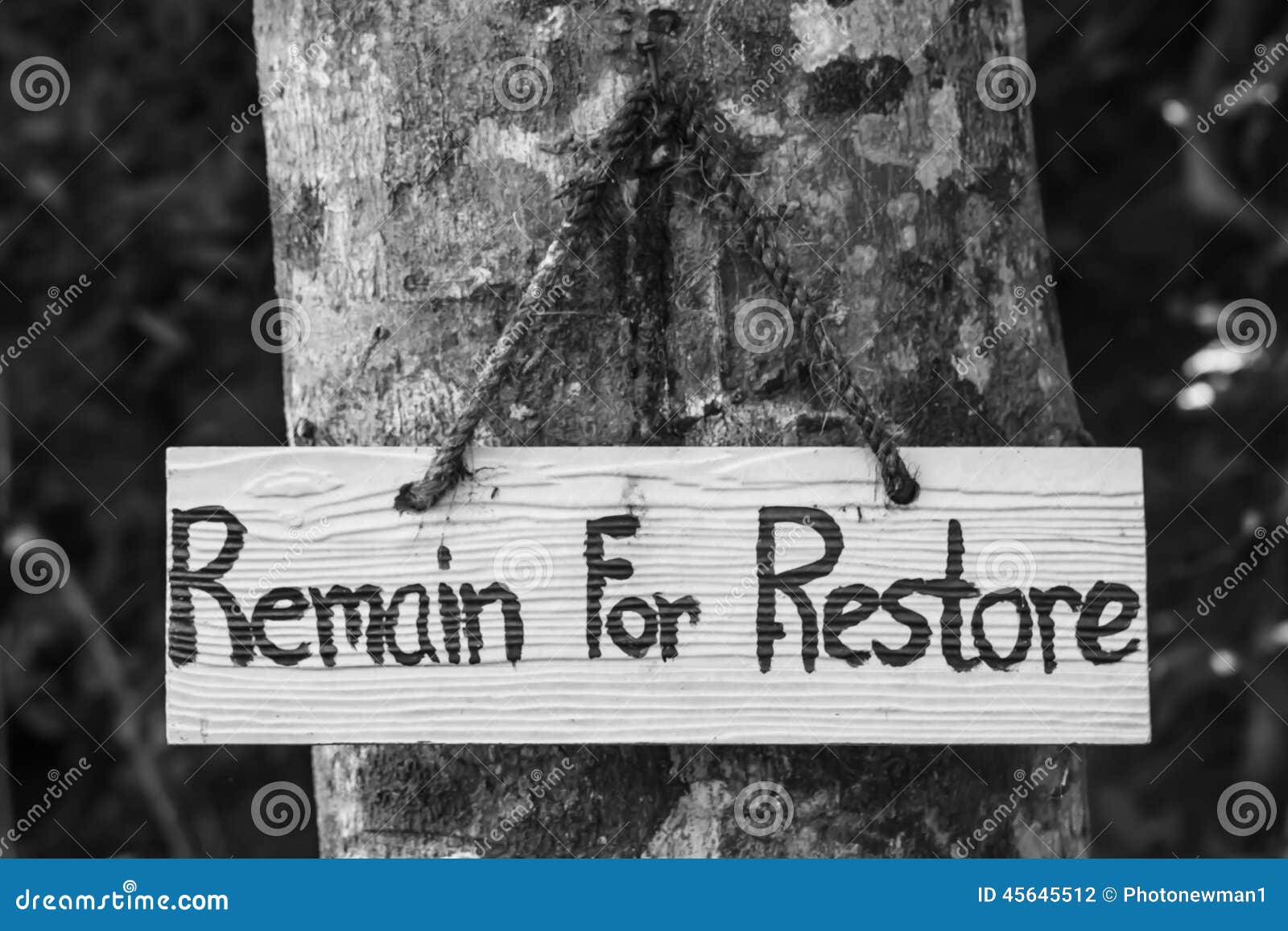 Signs Remain for Restore on Tree Stock Photo - Image of white, panel ...