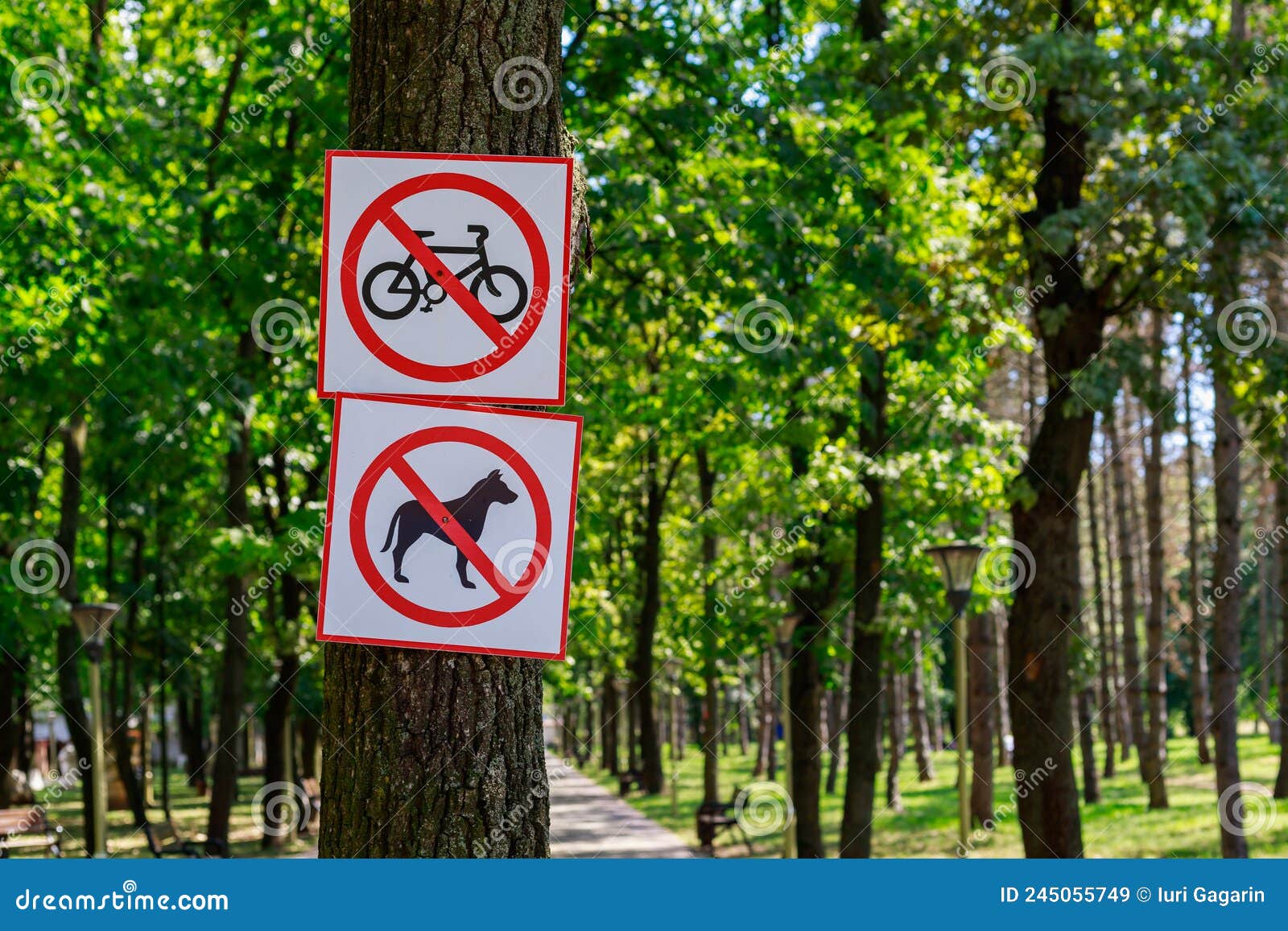 Signs with the Rules of Conduct in a Public Park. Background with Copy ...