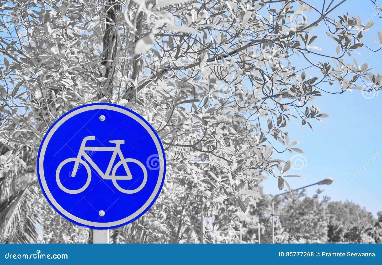 Signs stock photo. Image of light, sharing, biking, direction - 85777268