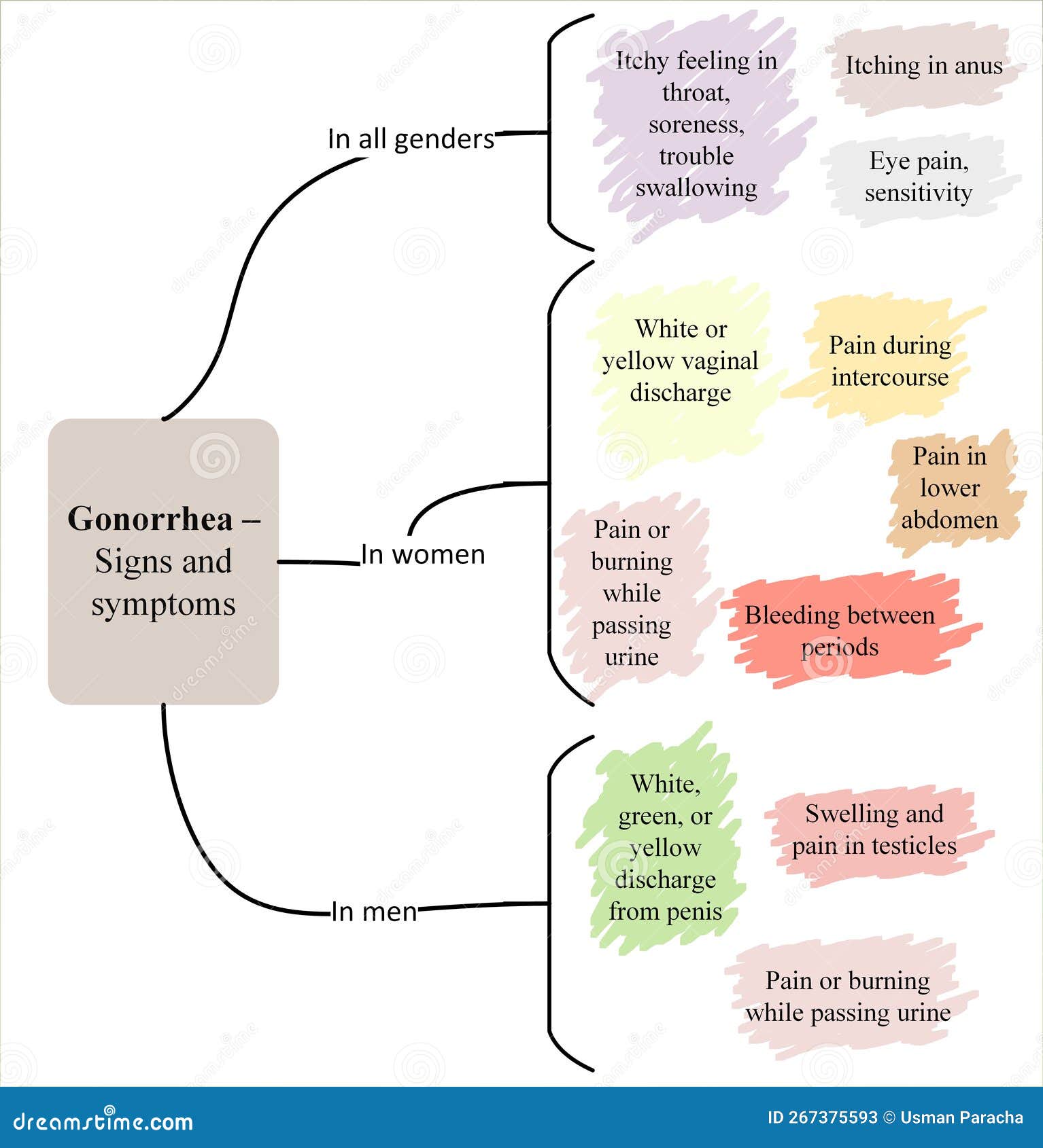 Signs and Symptoms of Gonorrhea Stock Illustration - Illustration of ...
