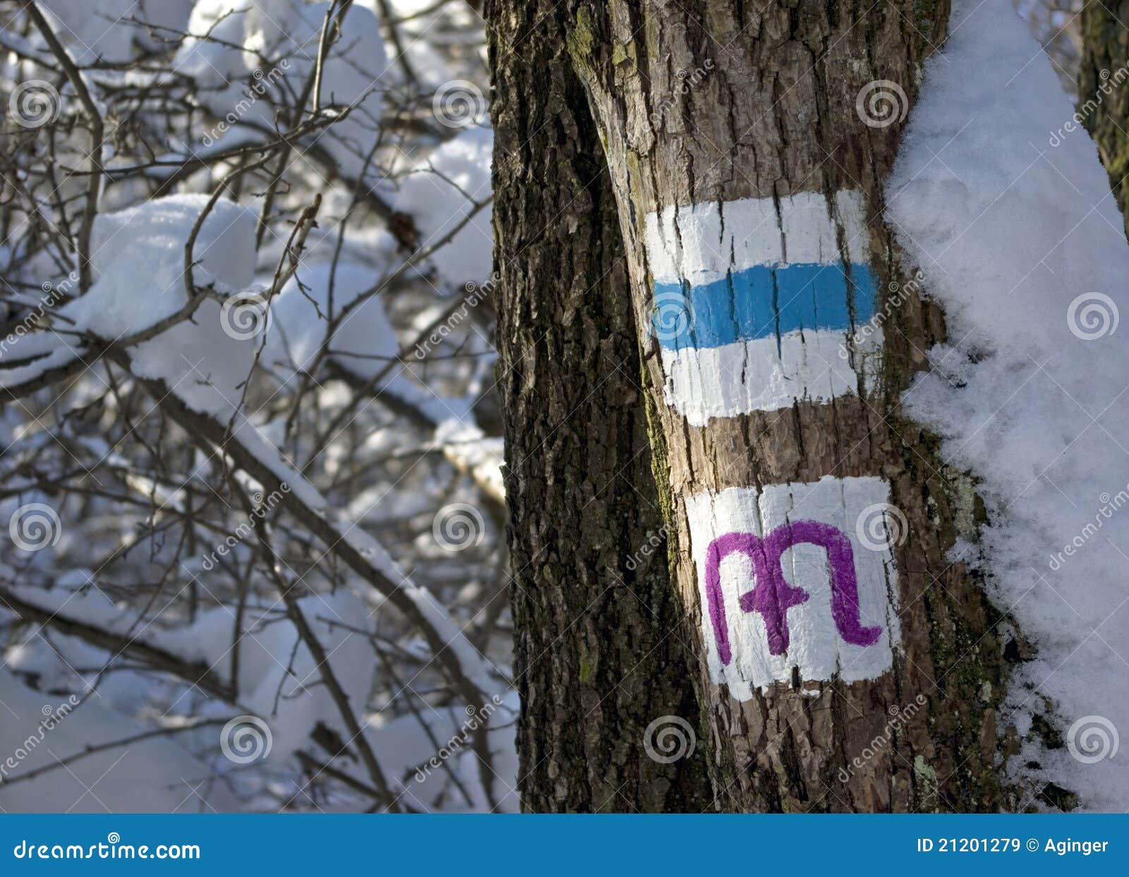 Signs on tree stock image. Image of color, symbol, detail - 21201279