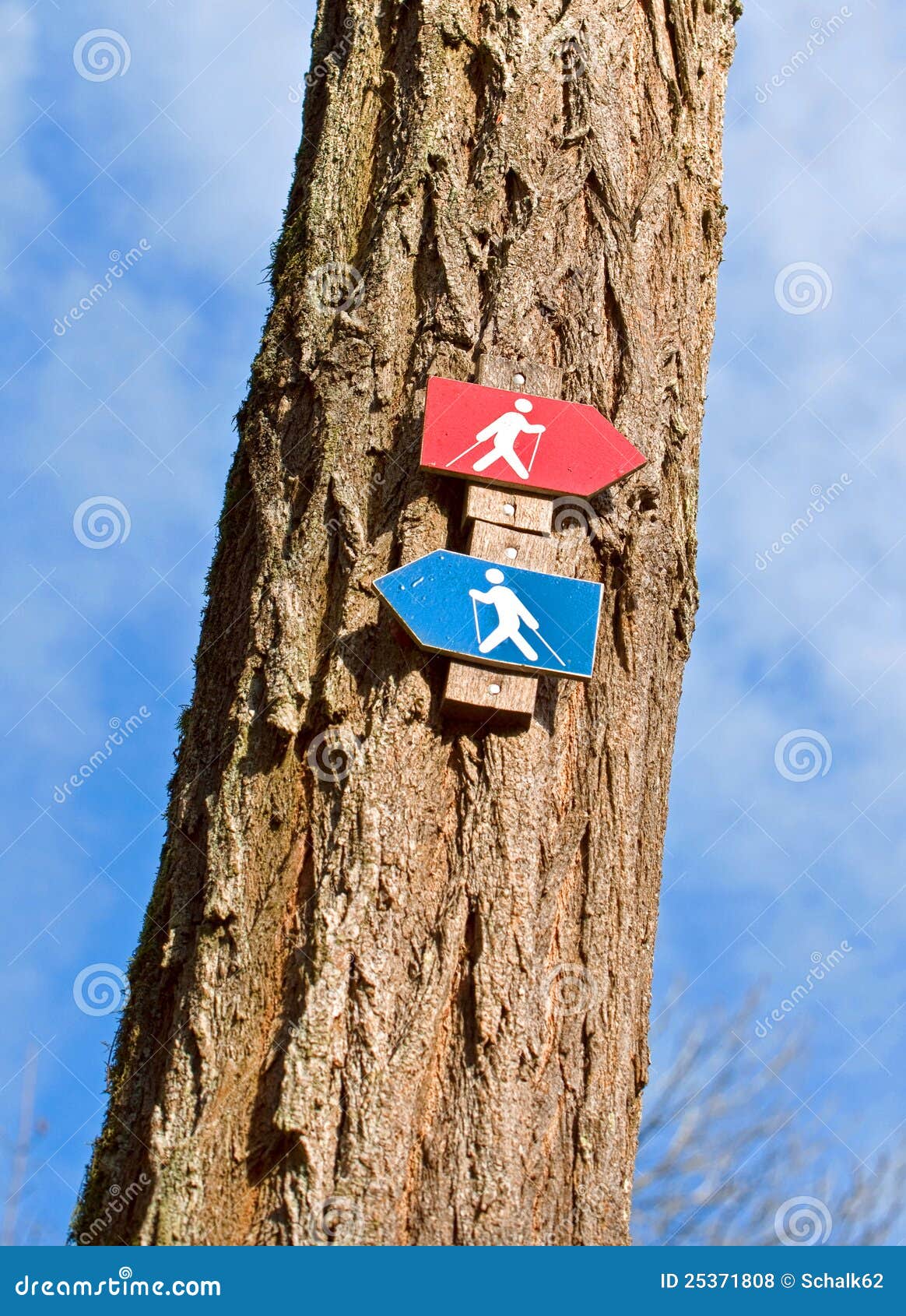 Signs at tree stock photo. Image of winter, forest, tree - 25371808