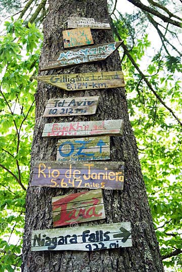 Signs on a Tree stock image. Image of show, arrows, tree - 5025657