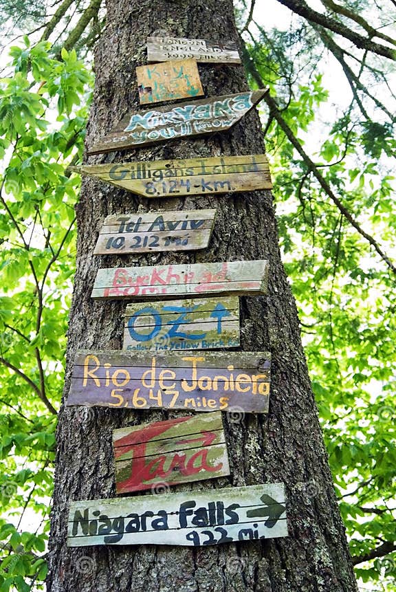 Signs on a Tree stock image. Image of show, arrows, tree - 5025657