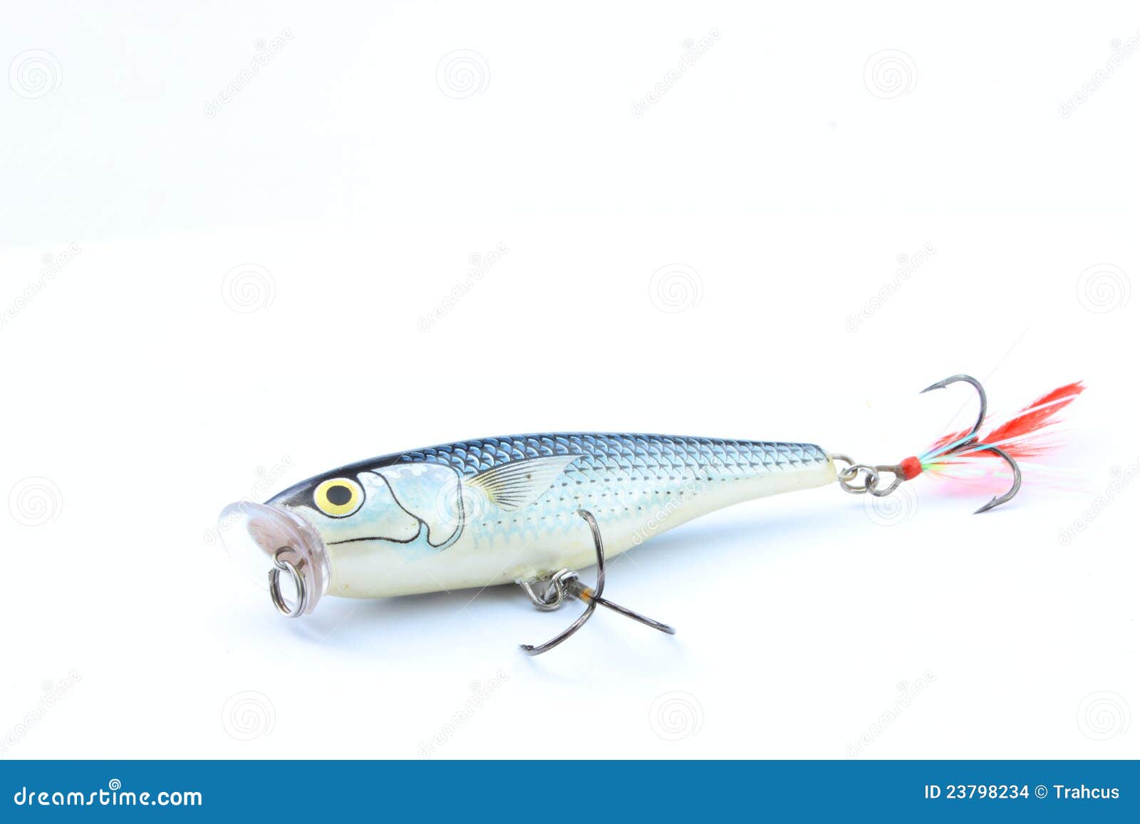 Sil or Small Fresh Water Fish Bait Stock Photo - Image of handicraft ...