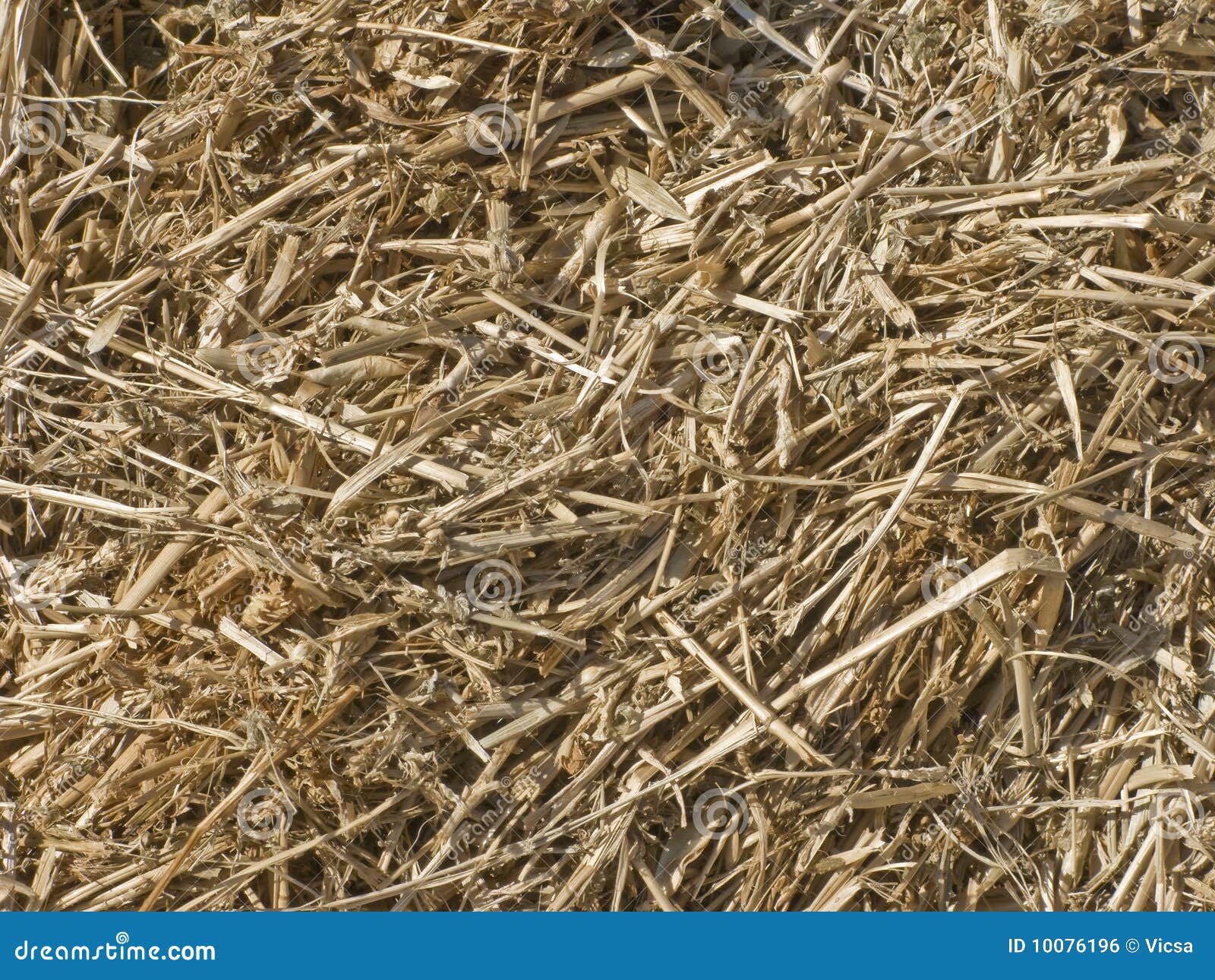 Silage background stock photo. Image of herb, forage - 10076196