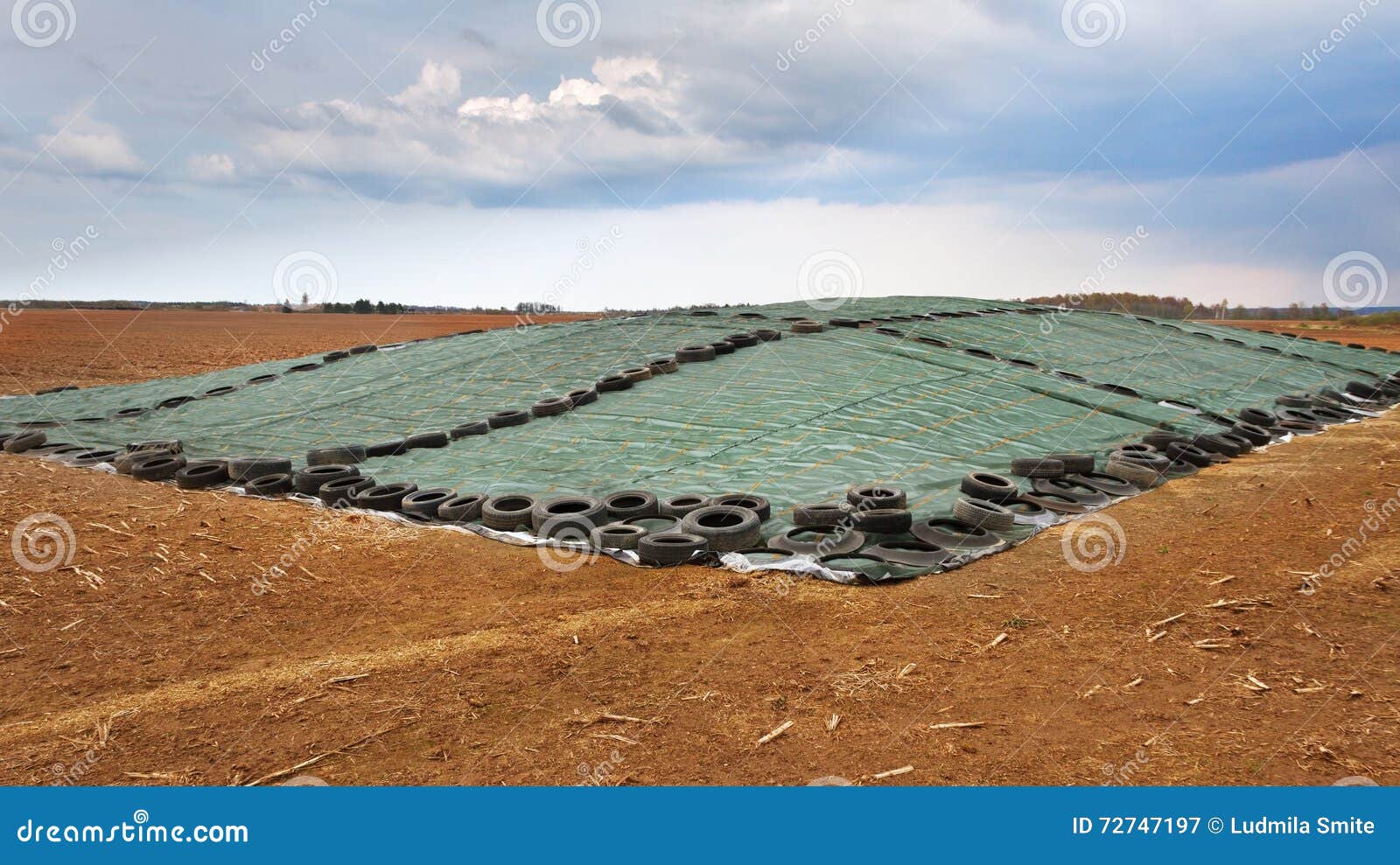 Silage food on a field. stock image. Image of farming - 72747197