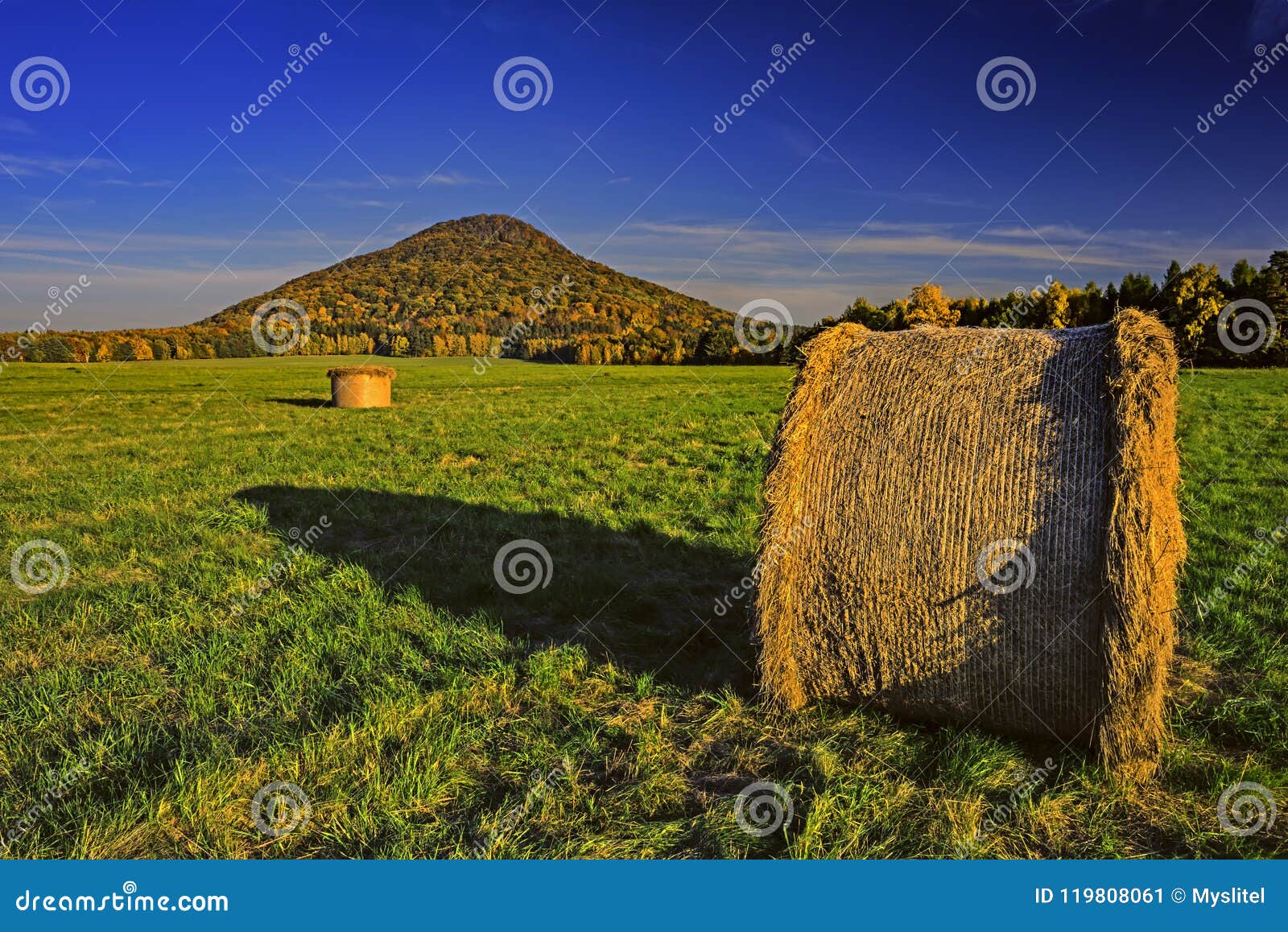 Silage in meadow stock image. Image of crop, forest - 119808061