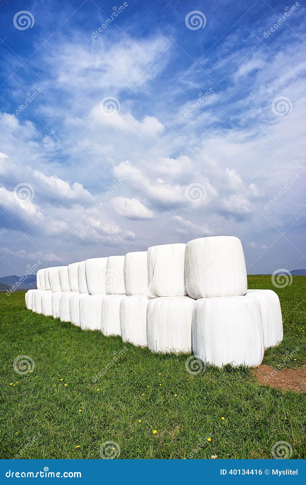 Silage stock photo. Image of vertical, farming, grass - 40134416