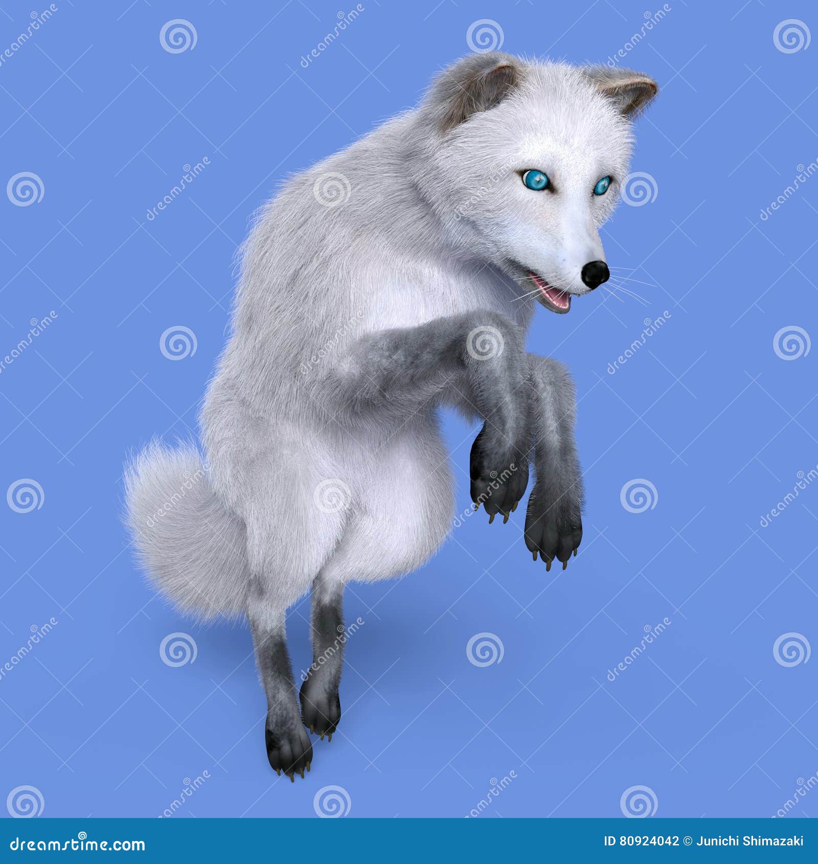Silberfuchs stockfoto. Bild von reizend, silber, hintergrund - 80924042