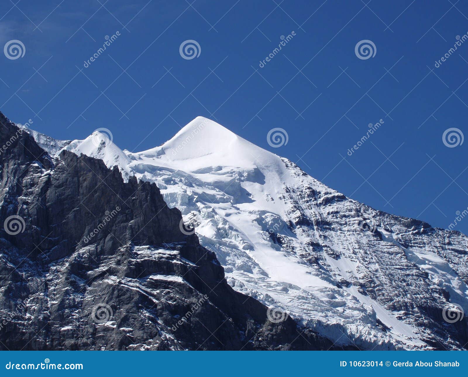 Silberhorn Switzerland stock photo. Image of grindelwald - 10623014