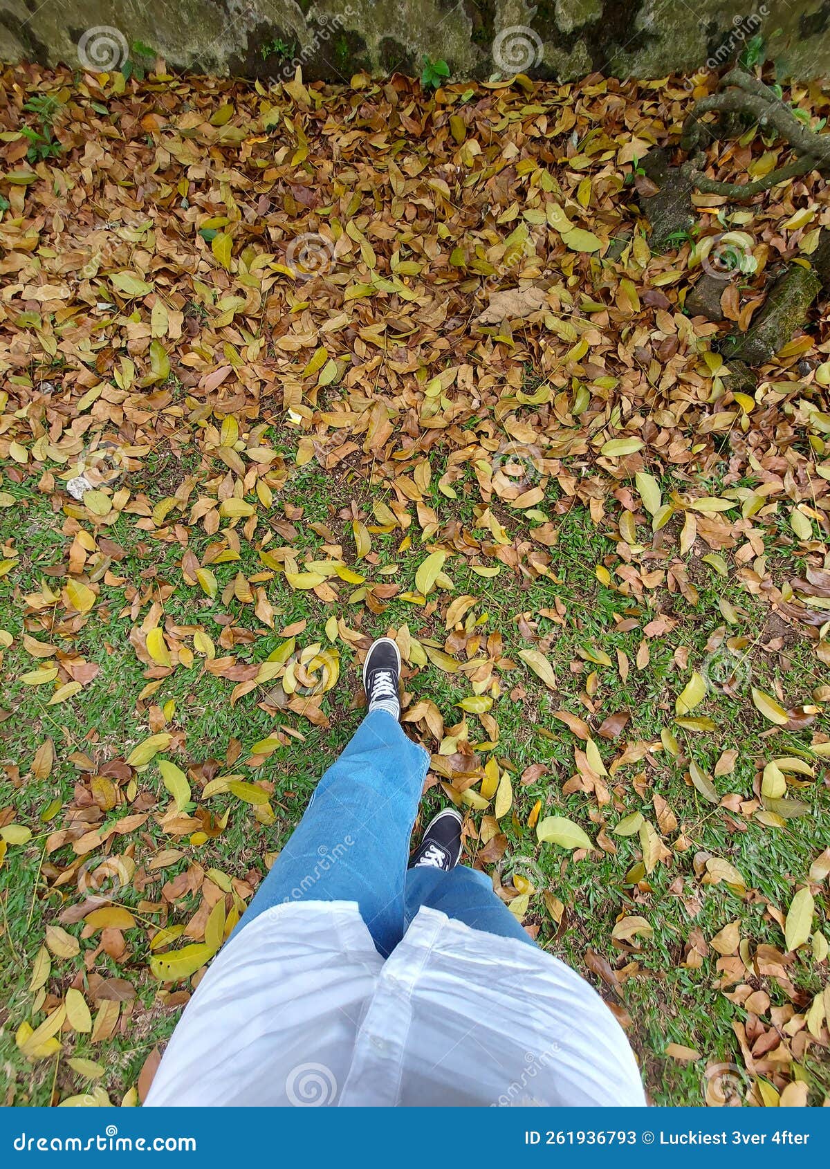 The Silence of the Fallen Leaves Stock Image - Image of fallen, foot ...