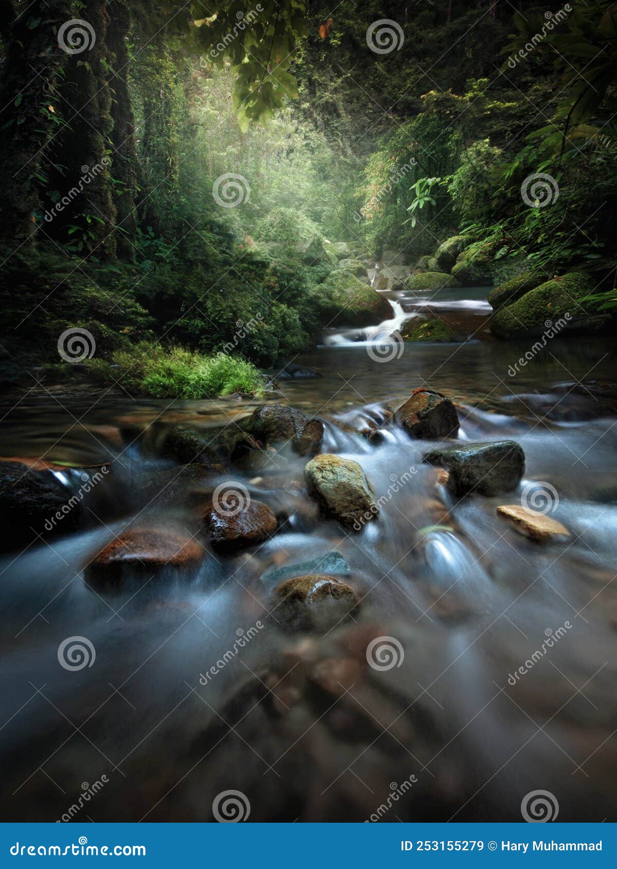 The Silence river side stock image. Image of silence - 253155279