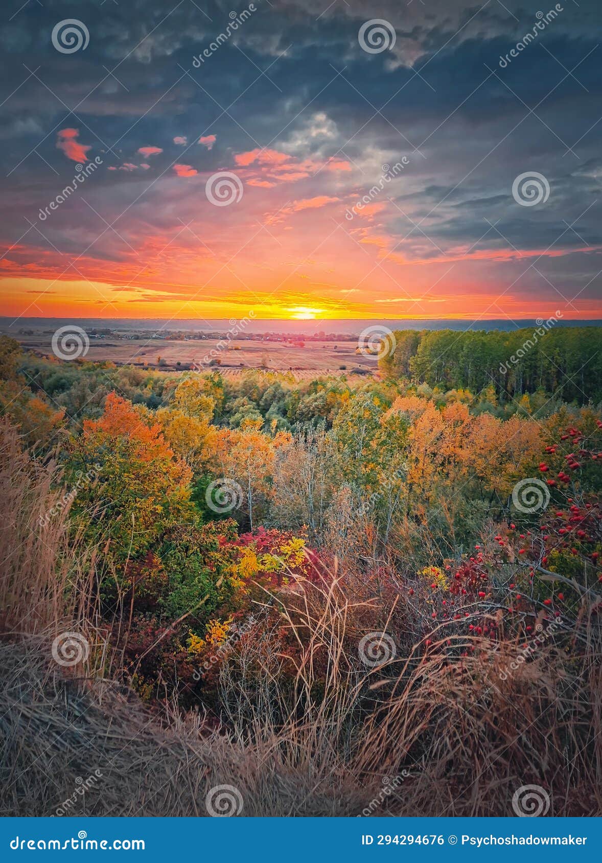 Silent Autumn Evening Over the Valley. Multicolored Fall Forest and ...