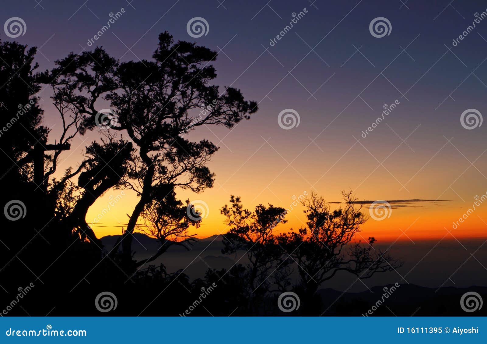 Silent Morning stock image. Image of tree, scape, penanjakan - 16111395