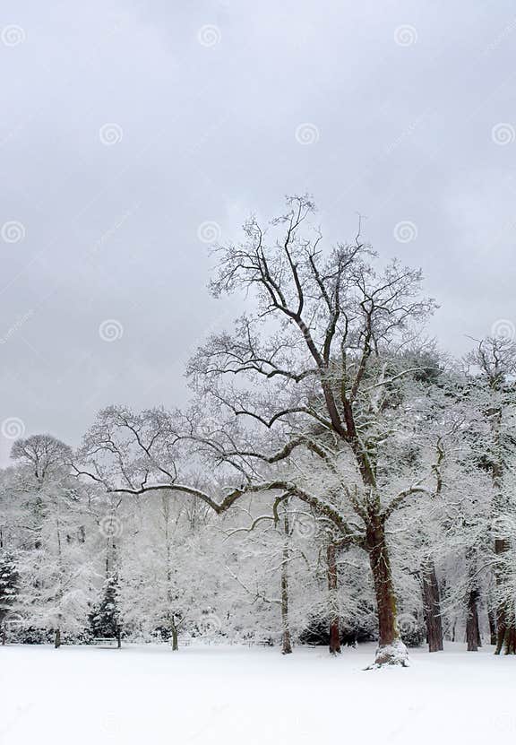 Silent morning stock photo. Image of season, holidays - 1631434