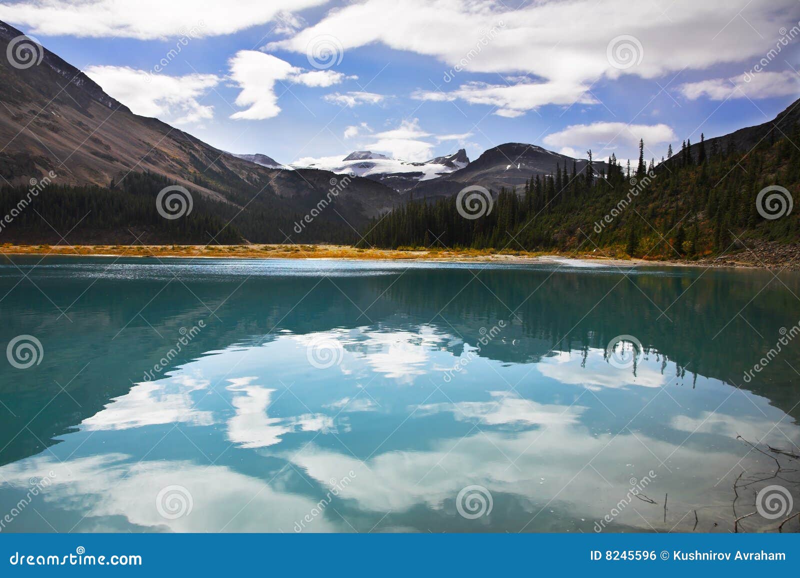 Silent mountain lake stock photo. Image of park, beauty - 8245596