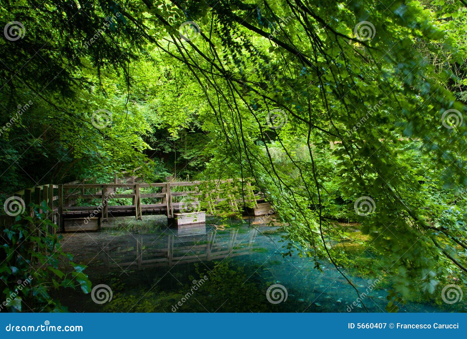The Silent Pool stock image. Image of hiking, long, hidden - 5660407