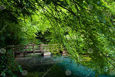 The Silent Pool stock image. Image of hiking, long, hidden - 5660407