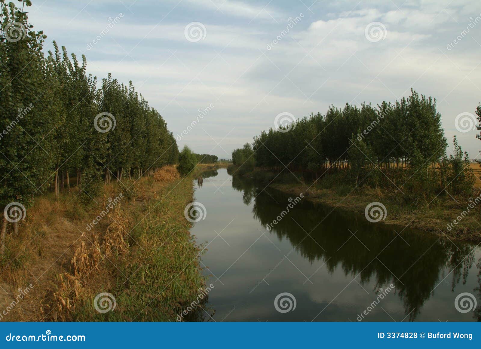 Silent River stock photo. Image of field, paddy, beautiful - 3374828