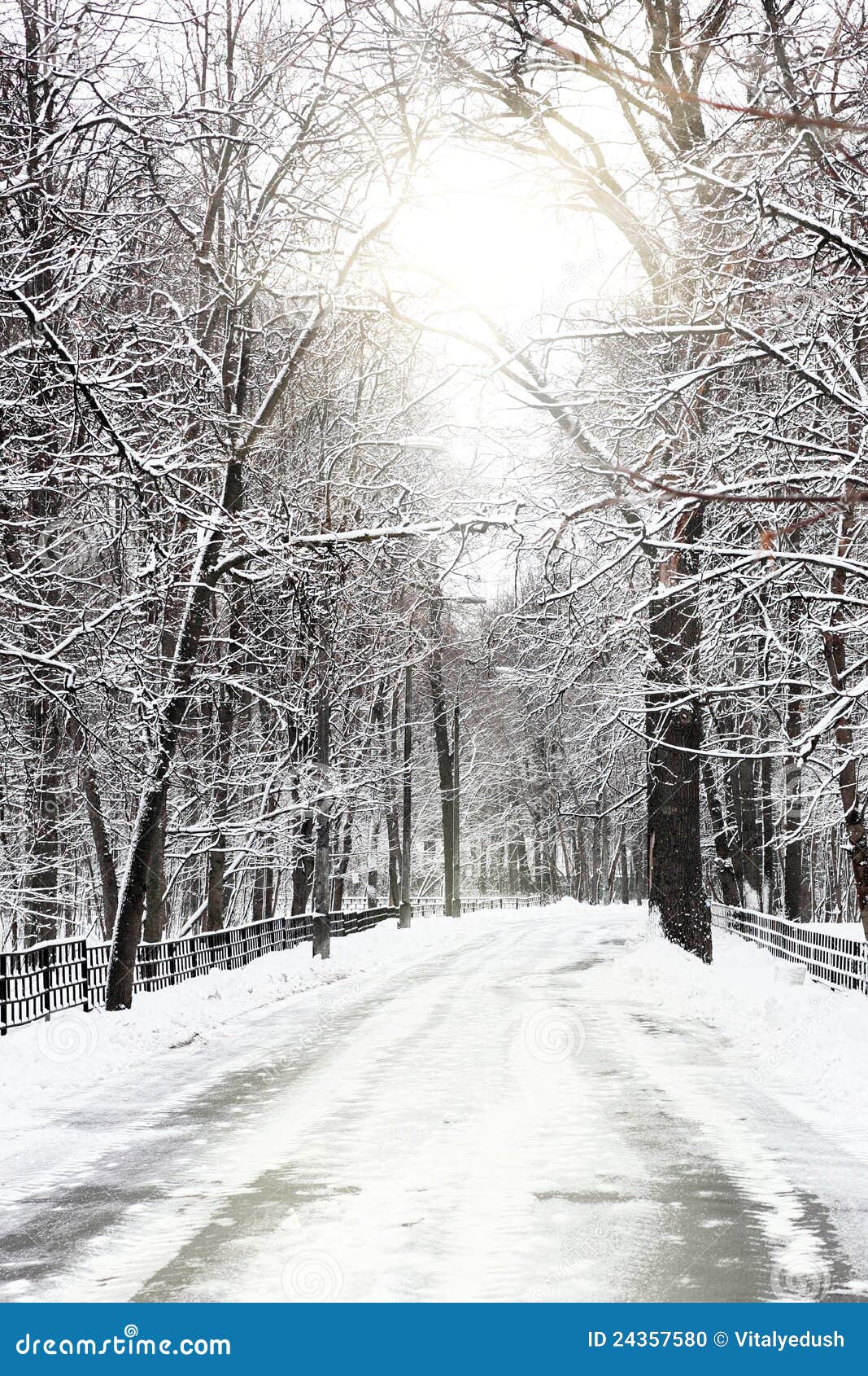 Silent Snow-covered Urban Park in Winter. Stock Photo - Image of frost ...