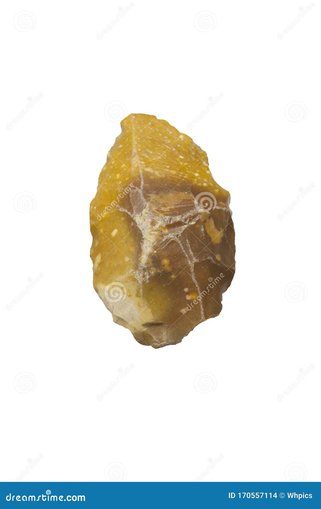 Silex Lanceolate biface stock photo. Image of evolution - 170557114