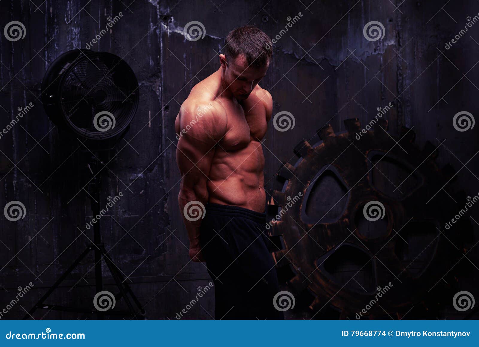 Silhoette Shot of Fit Muscular Athlete with Bare Torso Stock Photo ...