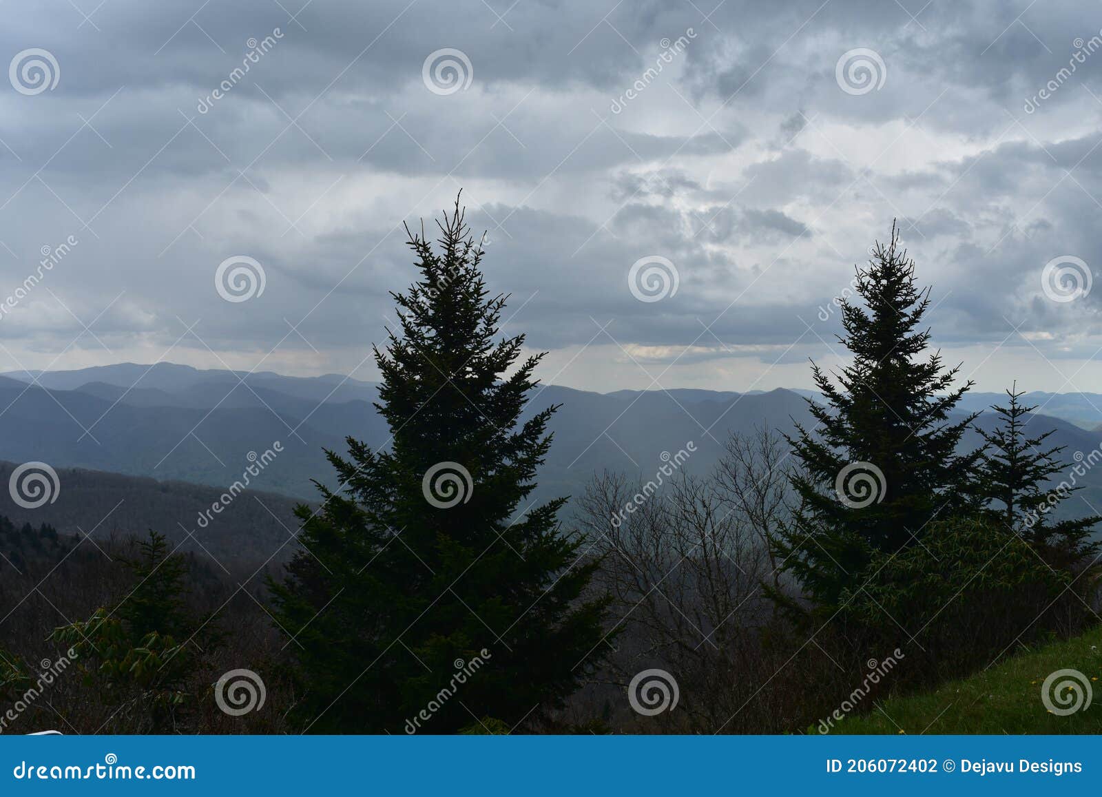 Silhoeutted Evergreen Trees in the Blue Ridge Mountains Stock Photo ...