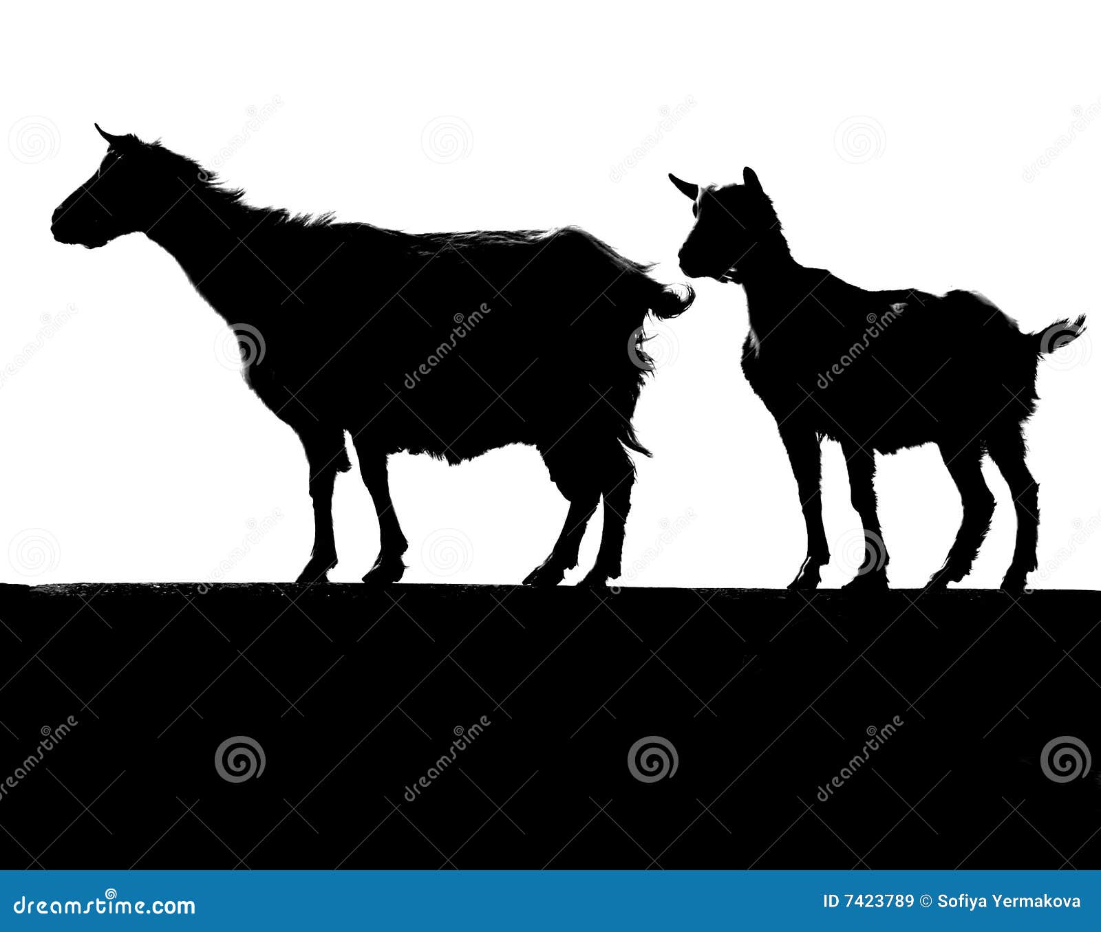 Silhouet van geiten stock afbeelding. Image of geit, familie - 7423789