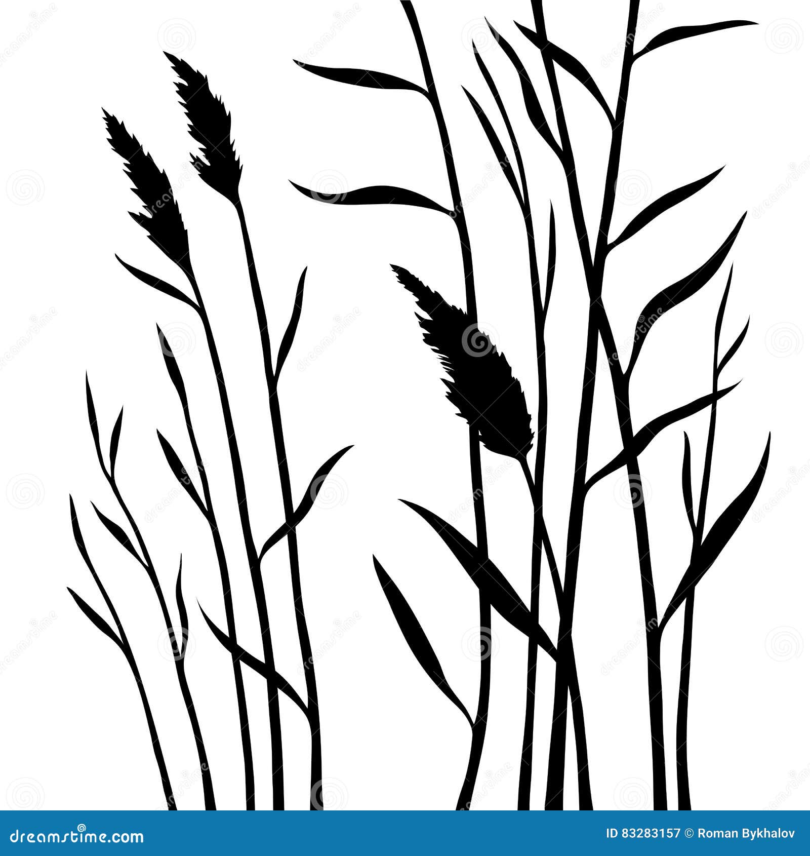 Silhouet Van Het Riet Op Witte Achtergrond Vector Illustratie ...