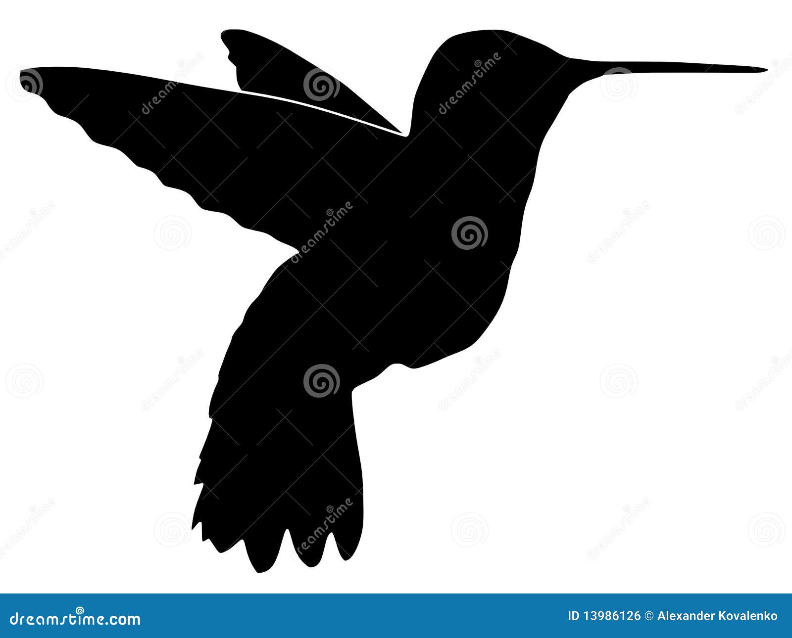 Silhouet van kolibrie vector illustratie. Illustration of silhouet ...