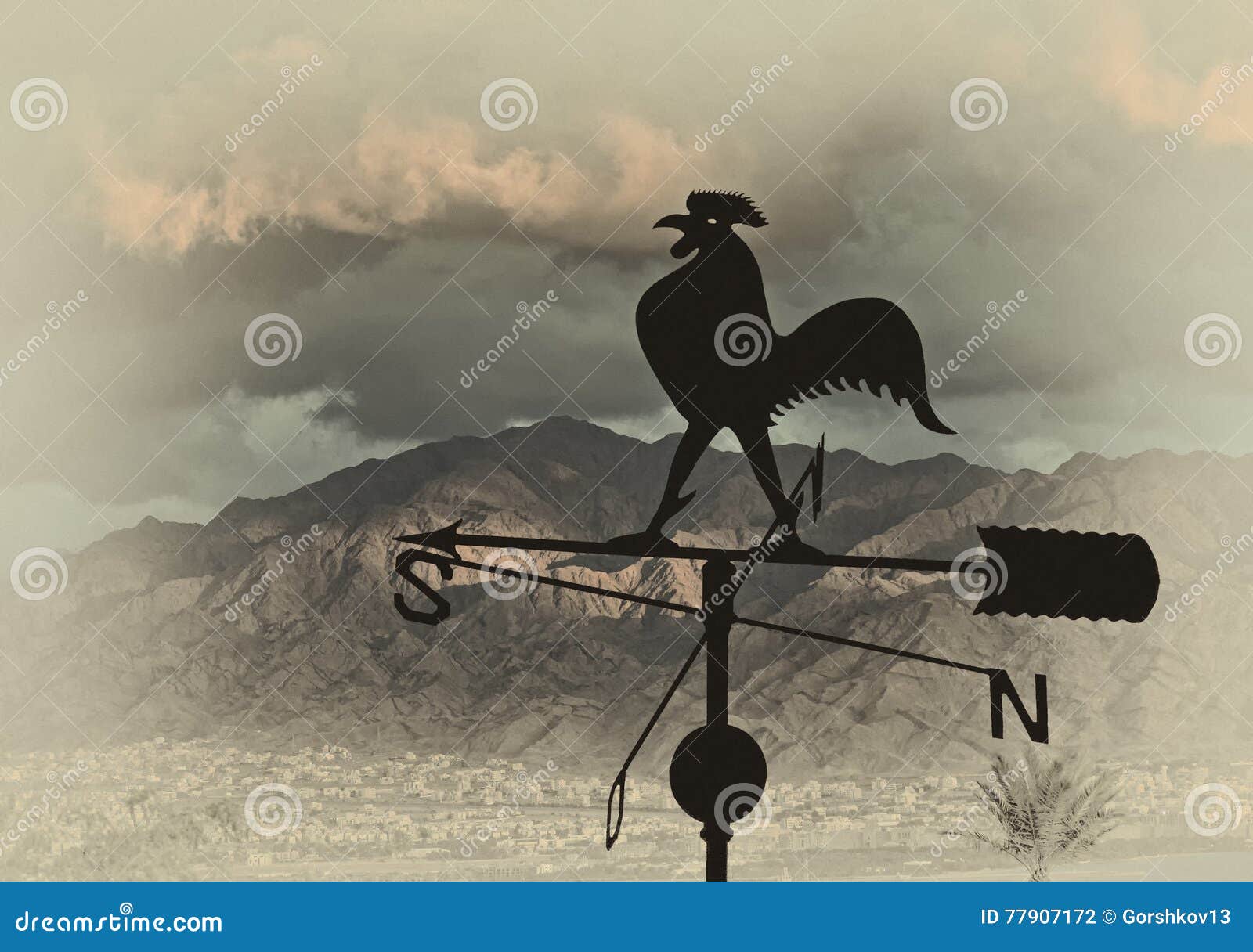 Silhouet Van Windwijzer Met Een Haan Stock Foto - Image of instrument ...